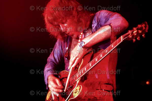 Classic Rock Photos | Sting, Alvin Lee, Paul McCartney, Young Rascals